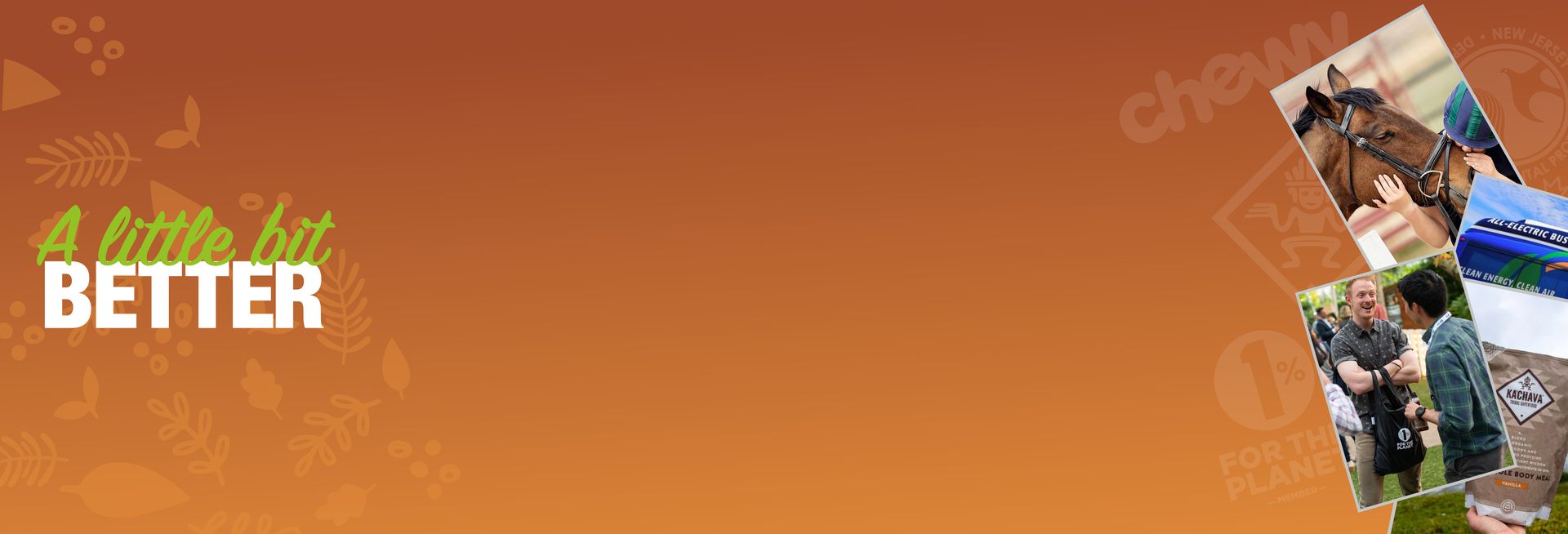 Little Bit Better November Roundup | ChicoBag