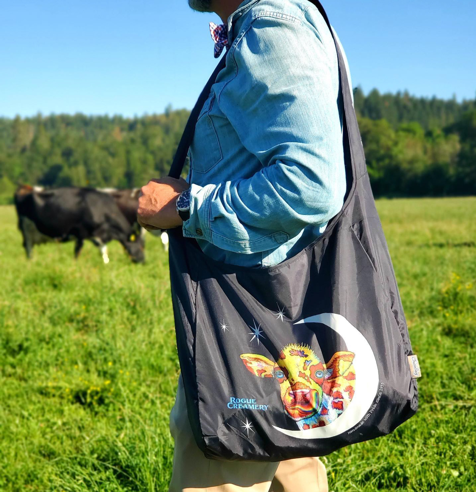 CUSTOM ChicoBag SLING CROSS BODY REUSABLE BAG | ChicoBag